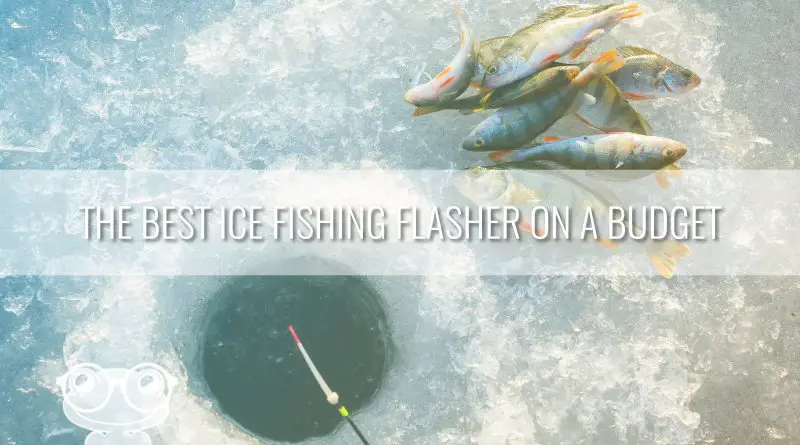 7 Best Ice Fishing Flashers on a Budget